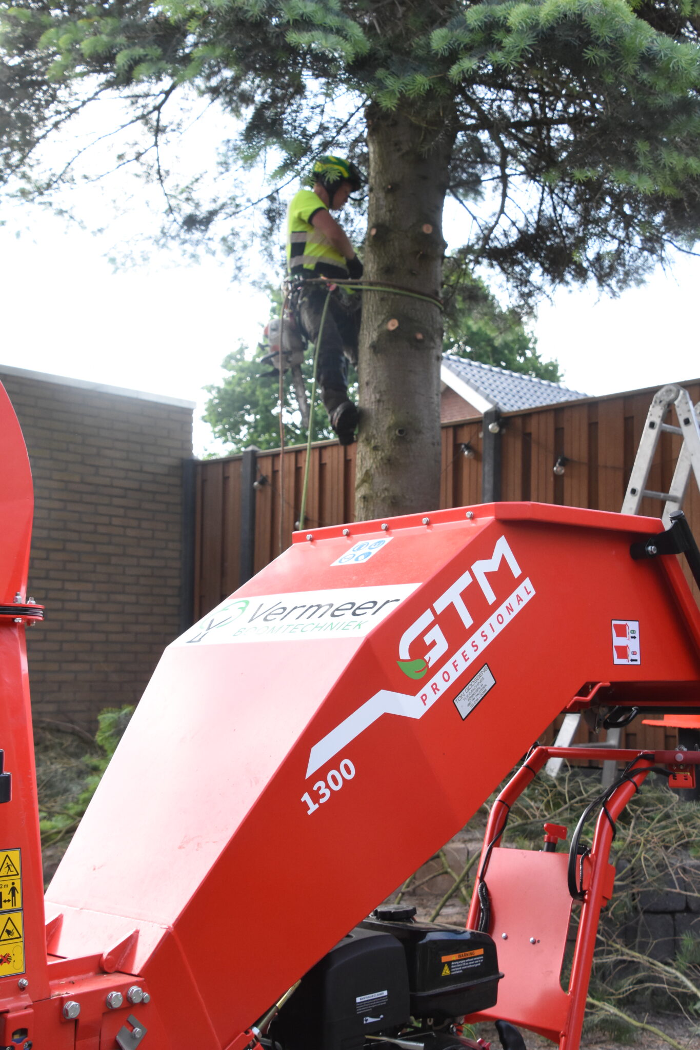 Home - GTM Professional